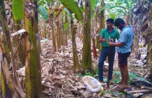 Fertilizer – AgStar PLC